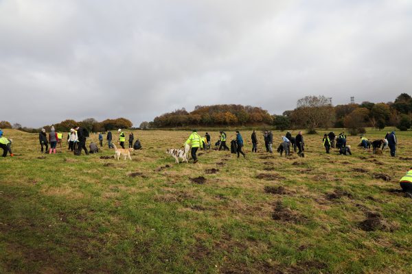 Tree Planting – ISA-UK Member Premier’s Planting the Seeds of Change at ...